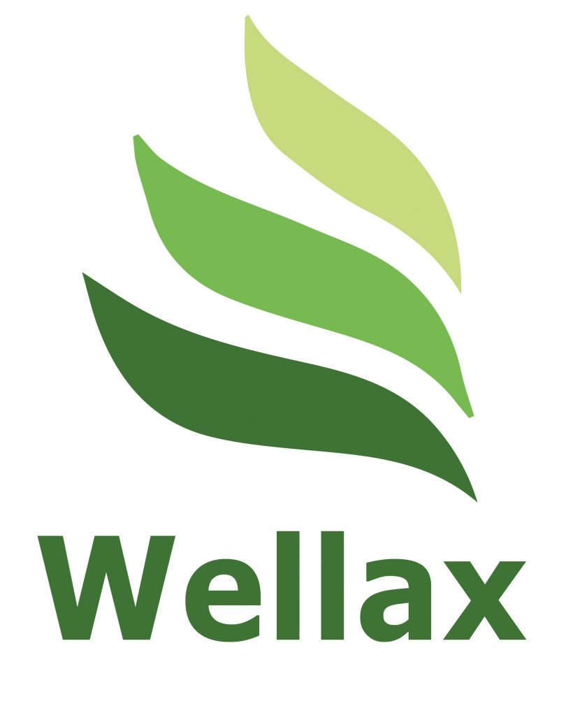 Junior Company Wellax – Praxis-HAK Völkermarkt